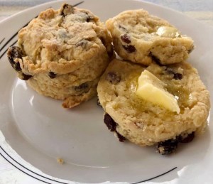 Newfoundland Raisin Tea Buns Traditional! – Beauty and the Bay