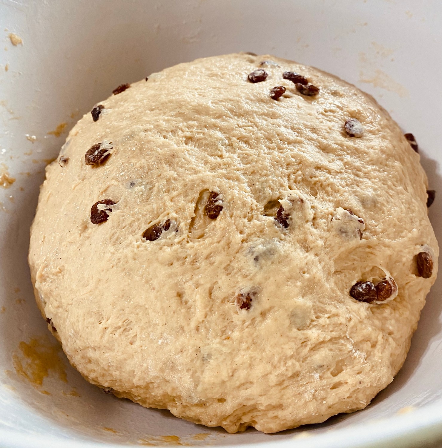 The Best Molasses Raisin Bread Recipe Newfoundland Style! – Beauty and ...