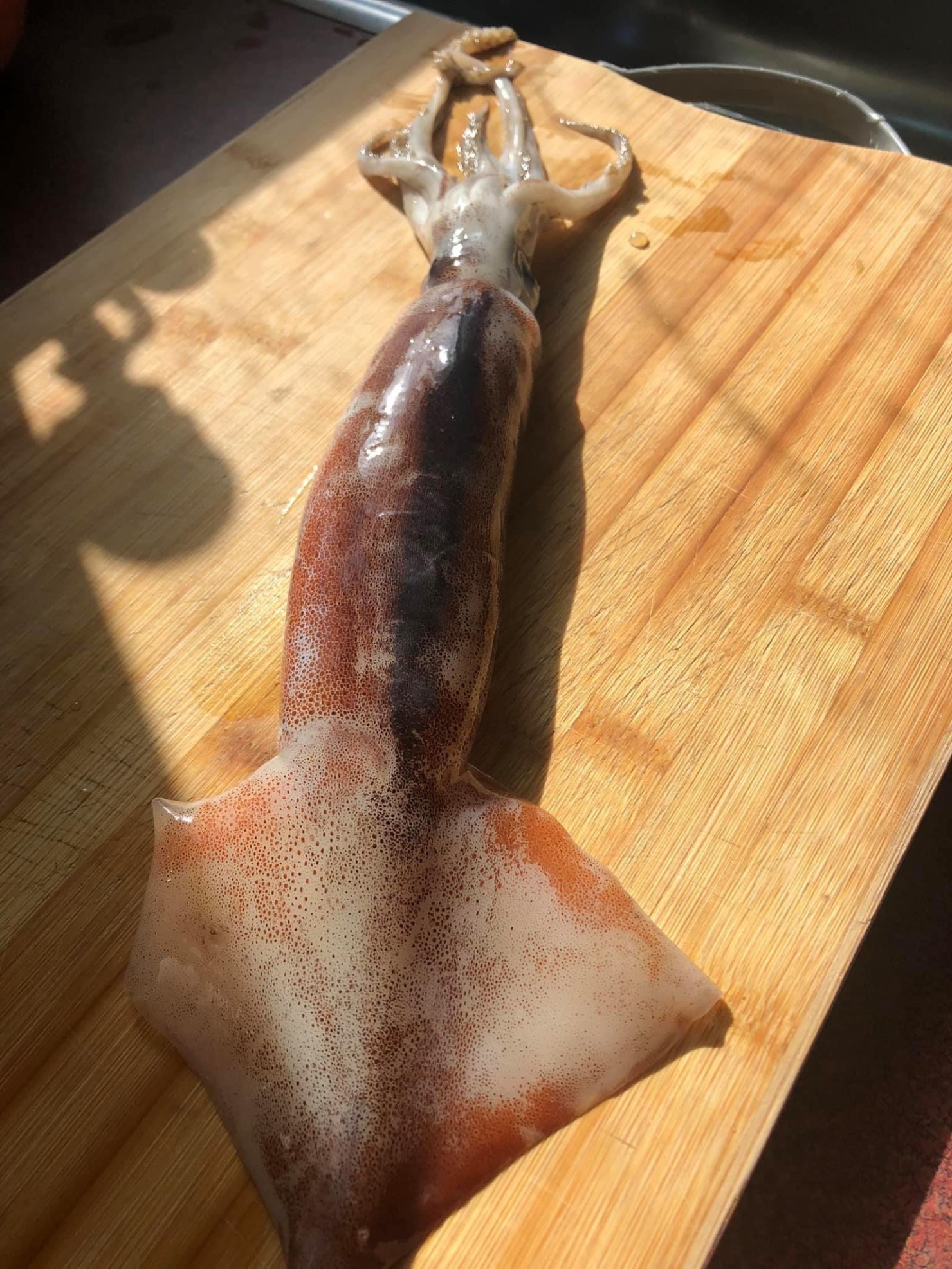 Stuffed Squid Recipe Moist and Tender – Beauty and the Bay