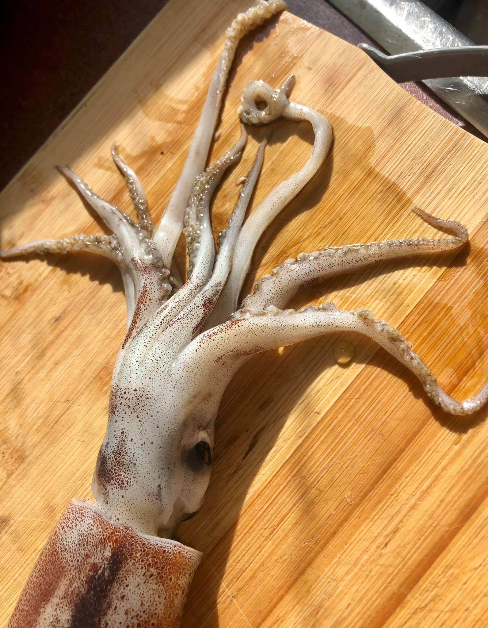 Stuffed Squid Recipe Moist and Tender – Beauty and the Bay