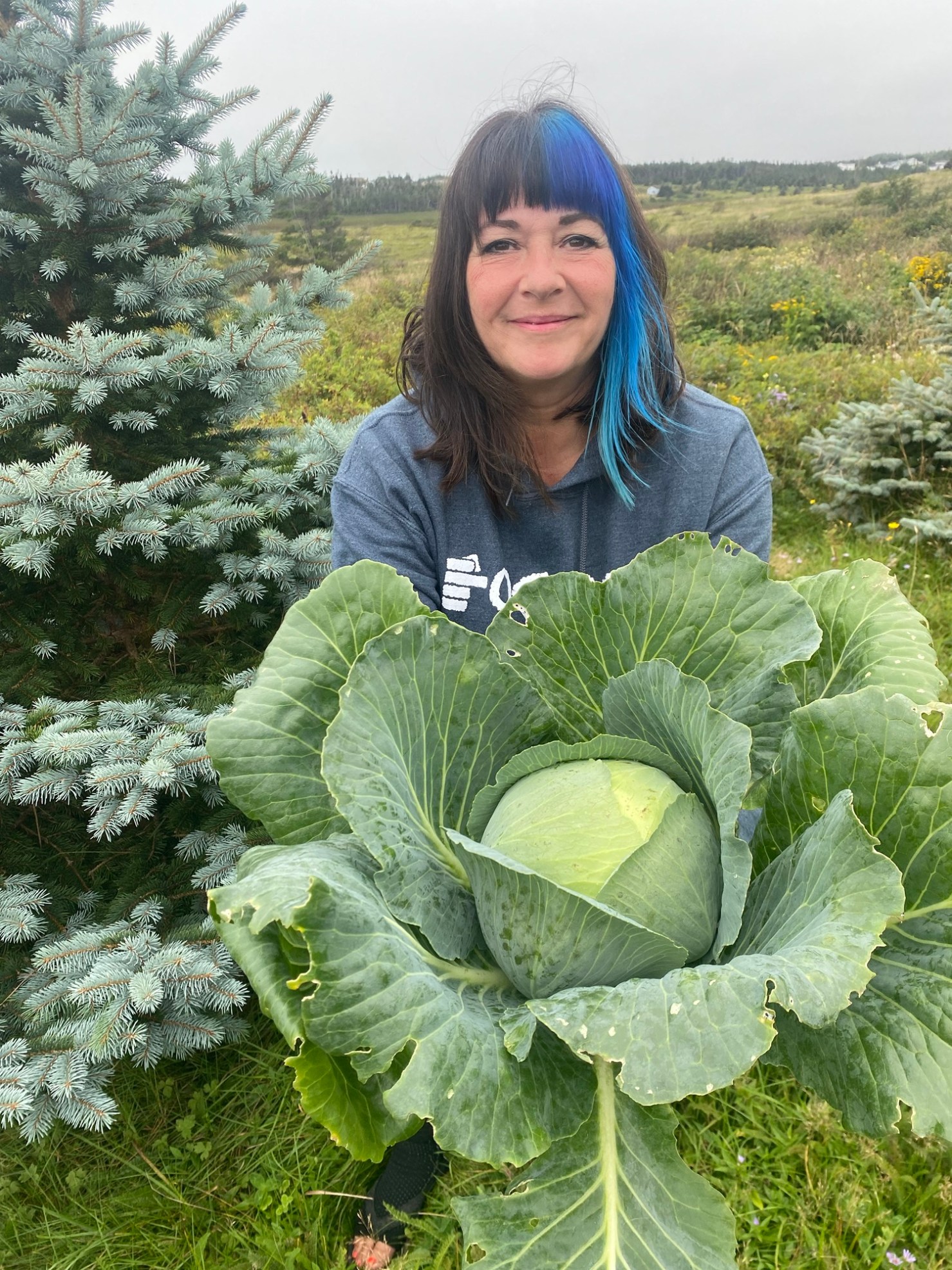 Tangy Cabbage Rolls Recipe | Traditional Newfoundland Dish – Beauty and ...